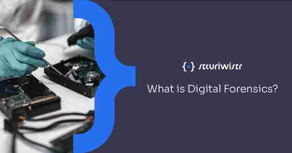 Why is Digital Forensics crucial in cyber security?